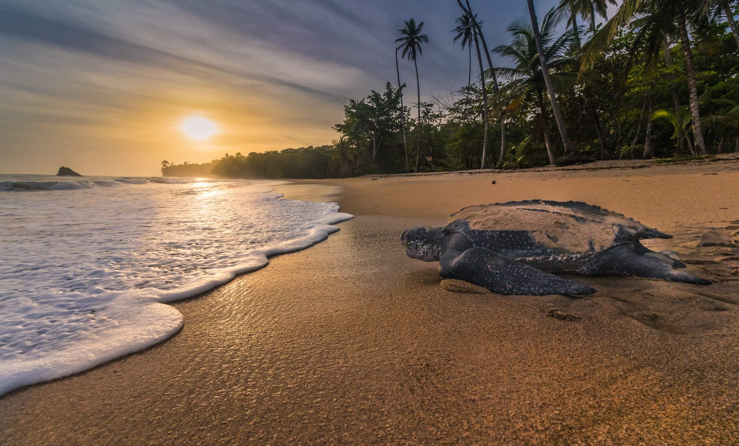 Things To Do In Trinidad - Beaches, Carnival & Sightseeing | Visit Trinidad