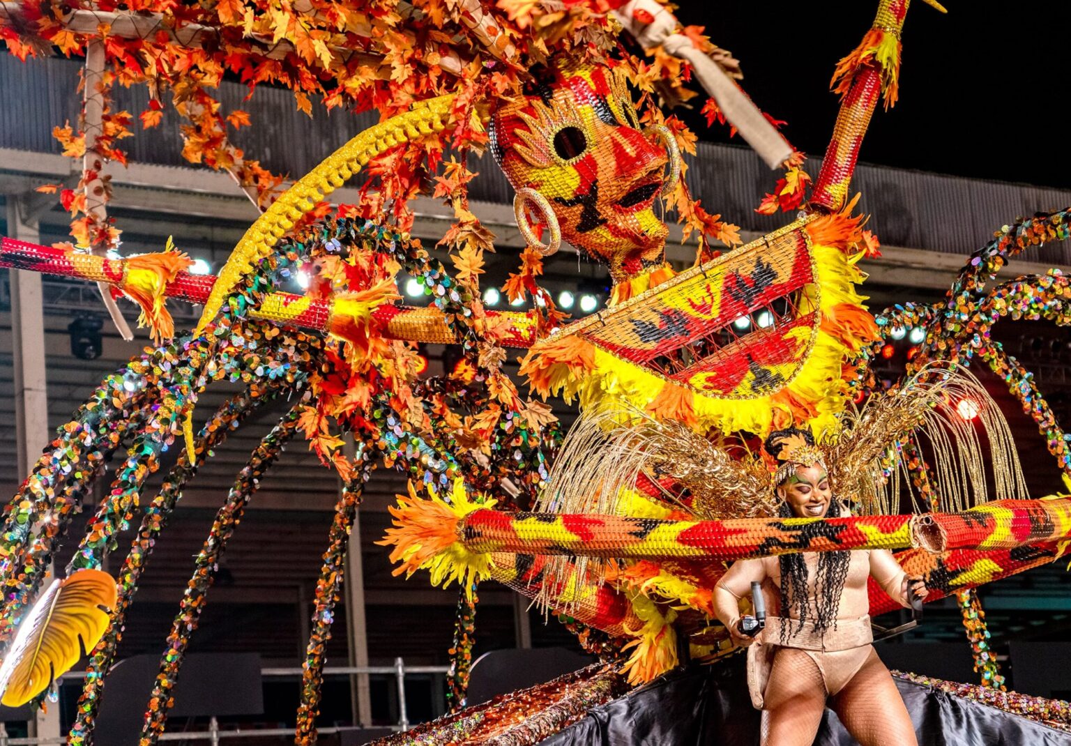 Trinidad and Tobago Carnival | Trinidad Travel & Tourism | Visit Trinidad