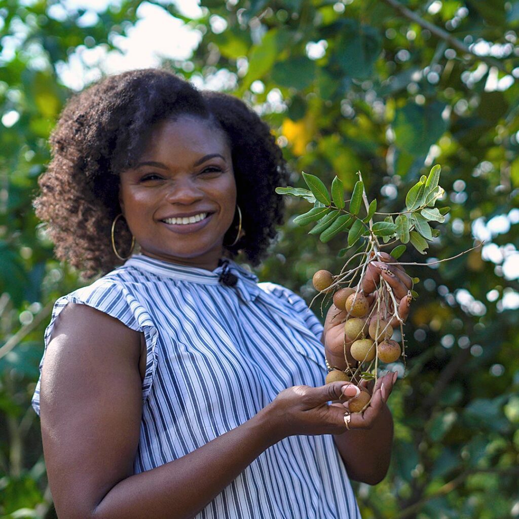 The Melting Pot of the Caribbean: Unique Fruits to Try in Trinidad ...