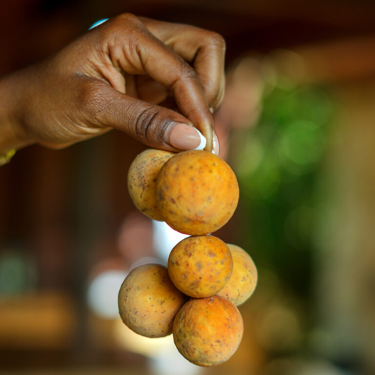 The Melting Pot of the Caribbean: Unique Fruits to Try in Trinidad ...