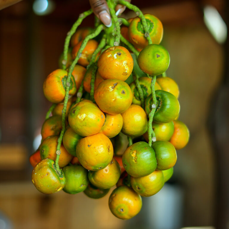 The Melting Pot of the Caribbean: Unique Fruits to Try in Trinidad ...