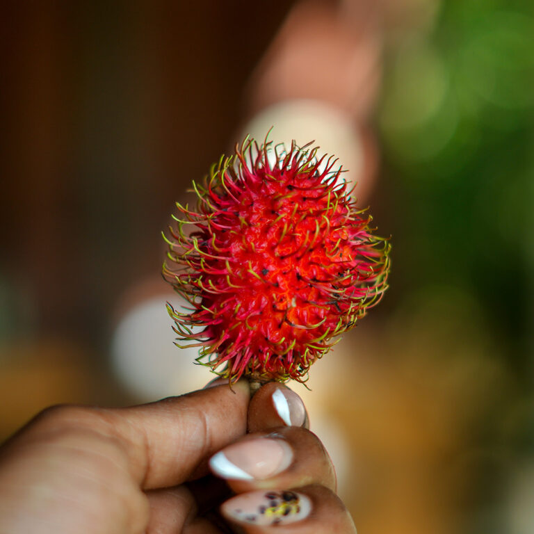 The Melting Pot of the Caribbean: Unique Fruits to Try in Trinidad ...